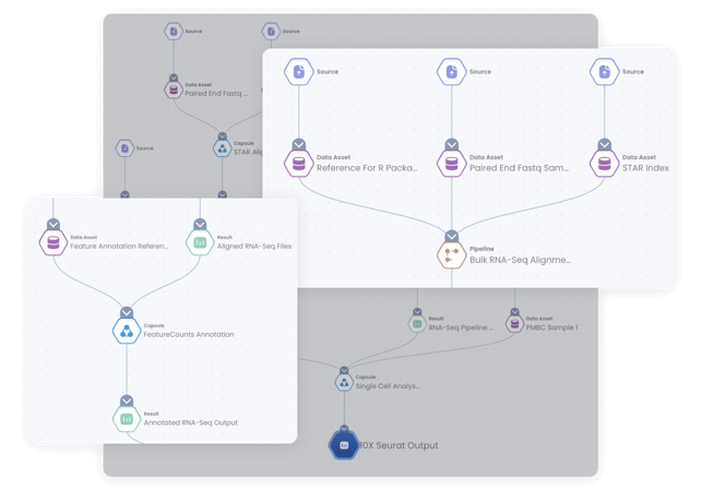 Lineage Graph | Code Ocean